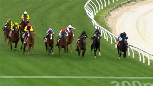 Pierro - Stallion | Breednet