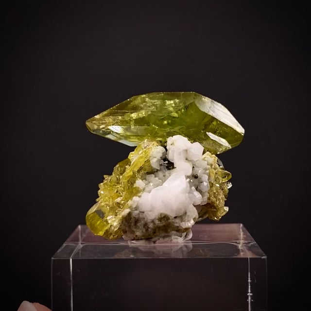 Titanite (twin) with Albite - FTN22-04 - Capelinha - Brazil Mineral ...