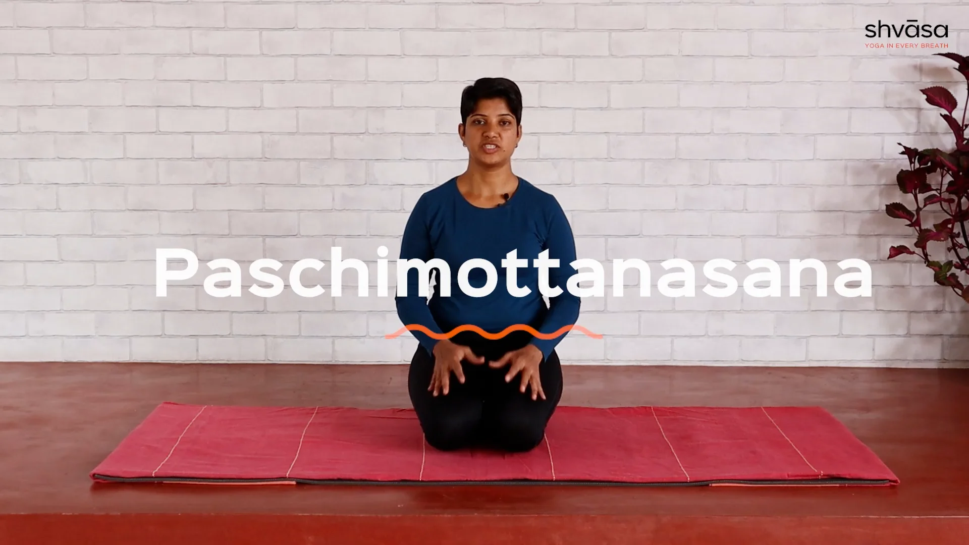 Easy variation Paschimottanasana Youtube on Vimeo
