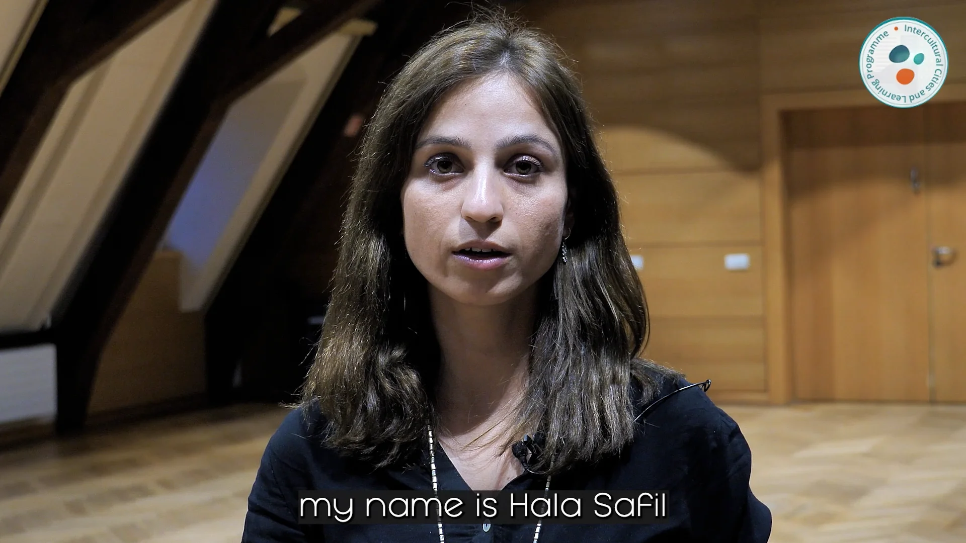 Interview with Hala Safil on Vimeo
