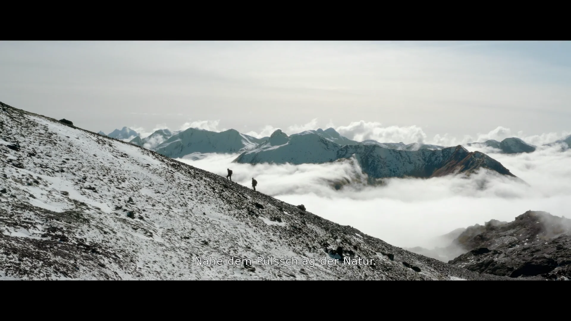 Watch WILD Online | Vimeo On Demand on Vimeo