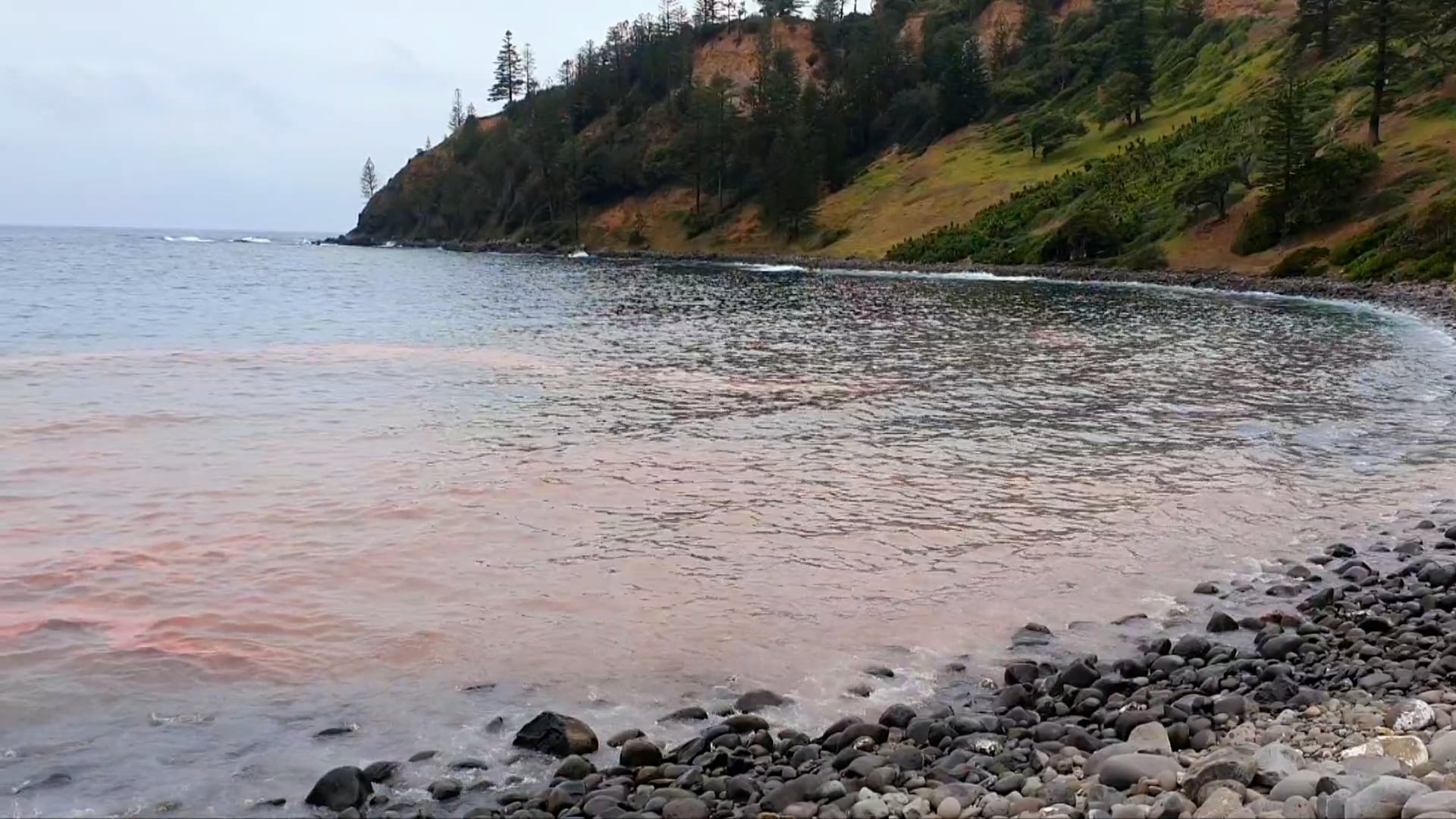 Ball Bay, Norfolk Island on Vimeo