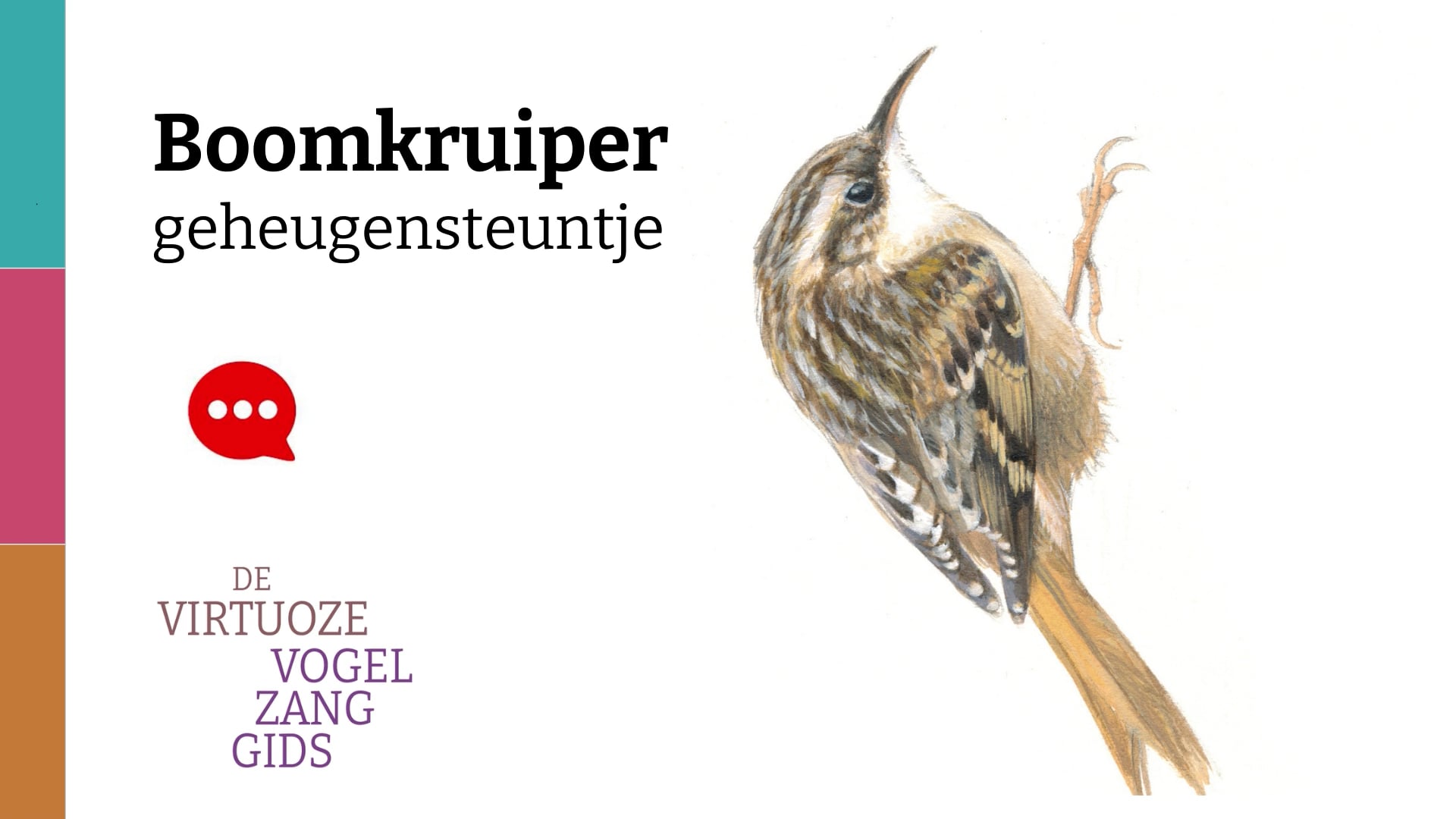 Boomkruiper - geheugensteuntje.mp4 on Vimeo