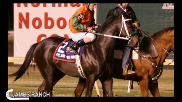 PYC Paint Your Wagon on Vimeo