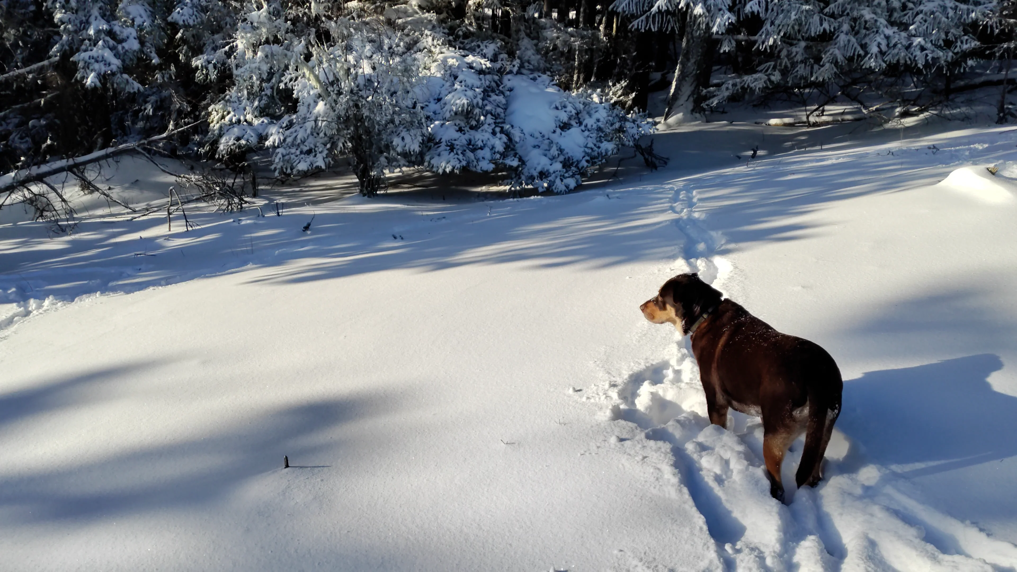 Hogback Ski on Vimeo