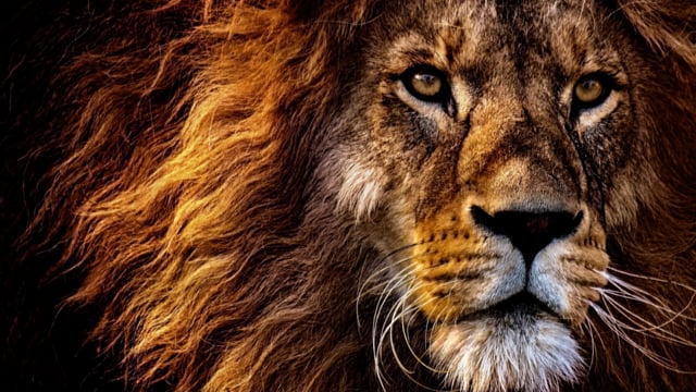 Background Texture Screensaver - Free video on Pixabay