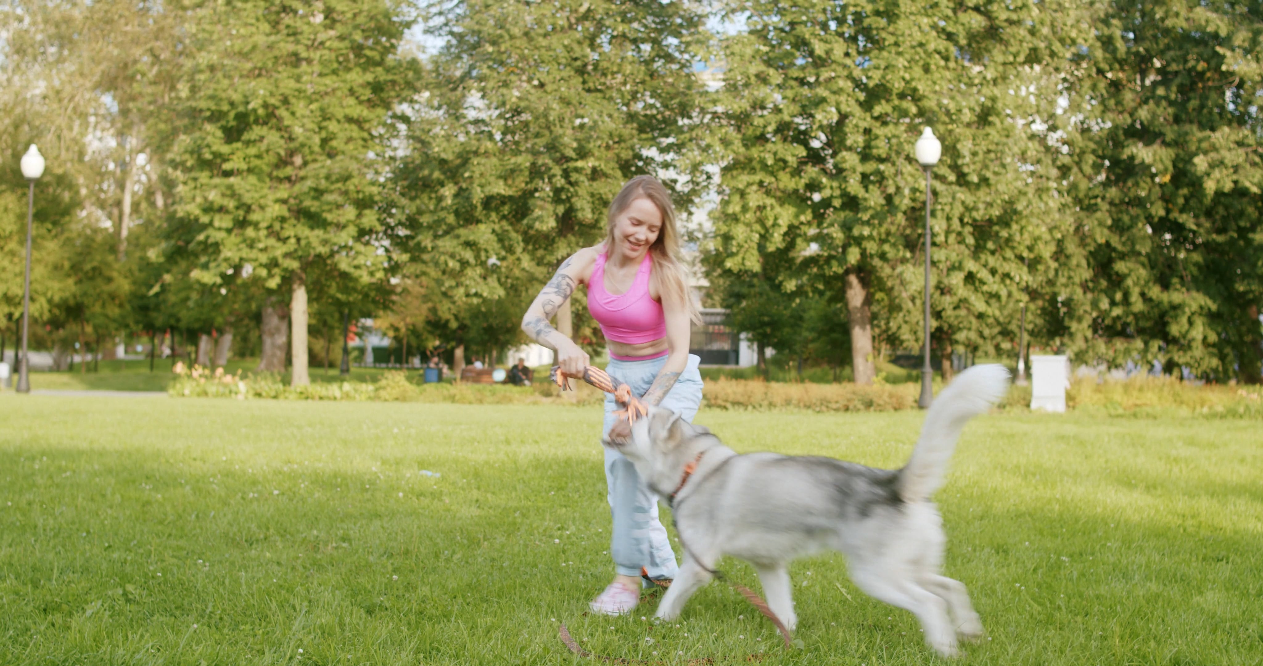 Cute dog training video on Vimeo