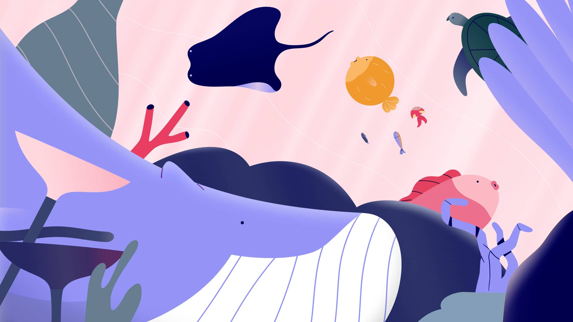 Adobe "Animate - Splash Screen Animation" on Vimeo