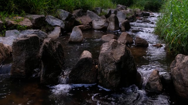 Creek Stream Brook - Free video on Pixabay