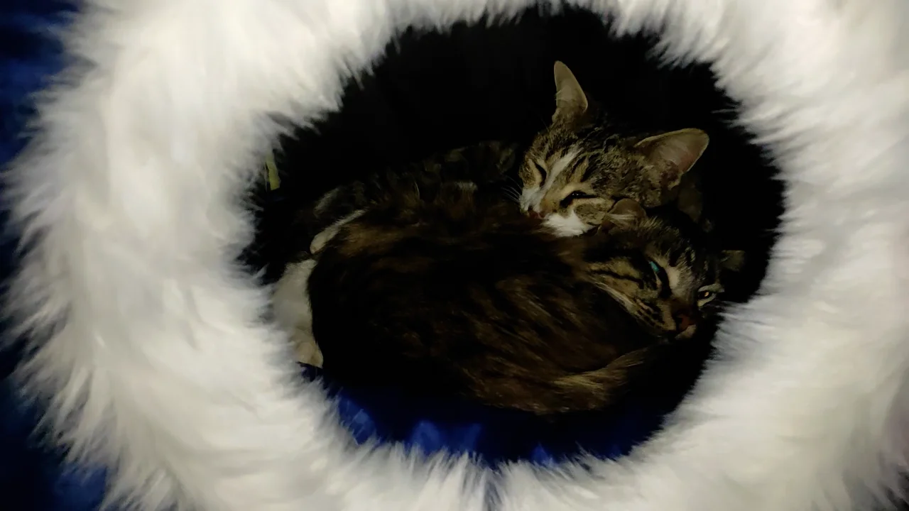 Amazing on Vimeo