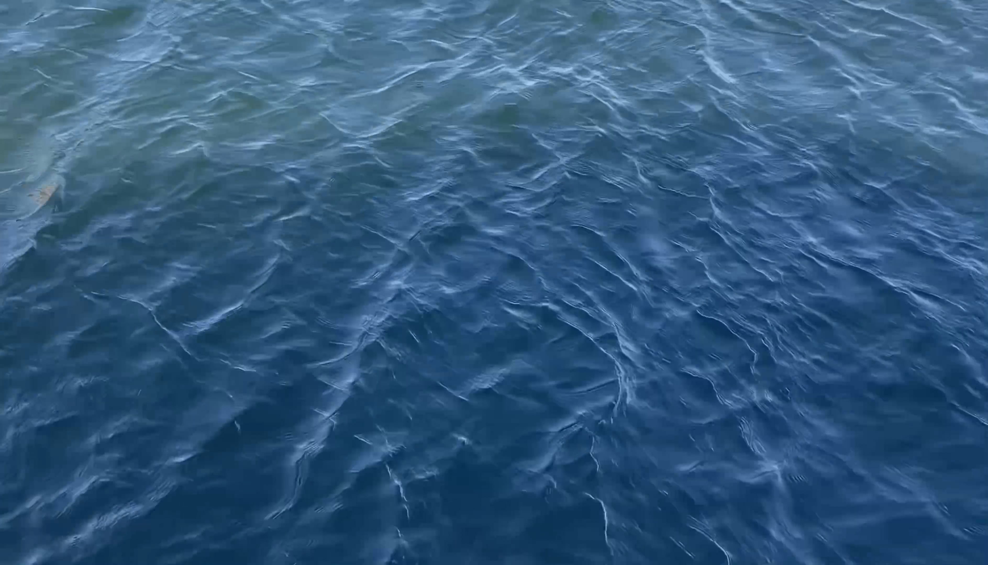 Header - Video The Brand Muse - Water on Vimeo