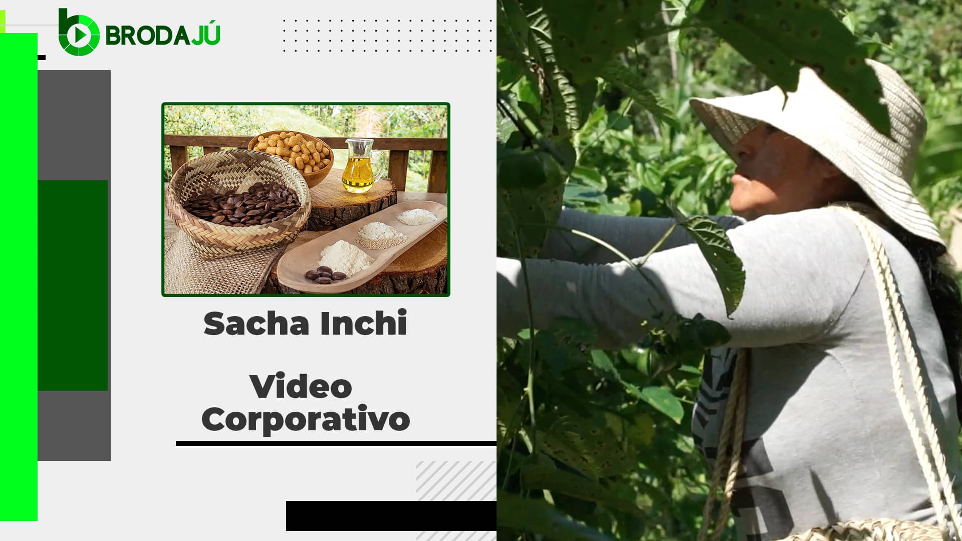 SACHA INCHI V4.mp4 on Vimeo