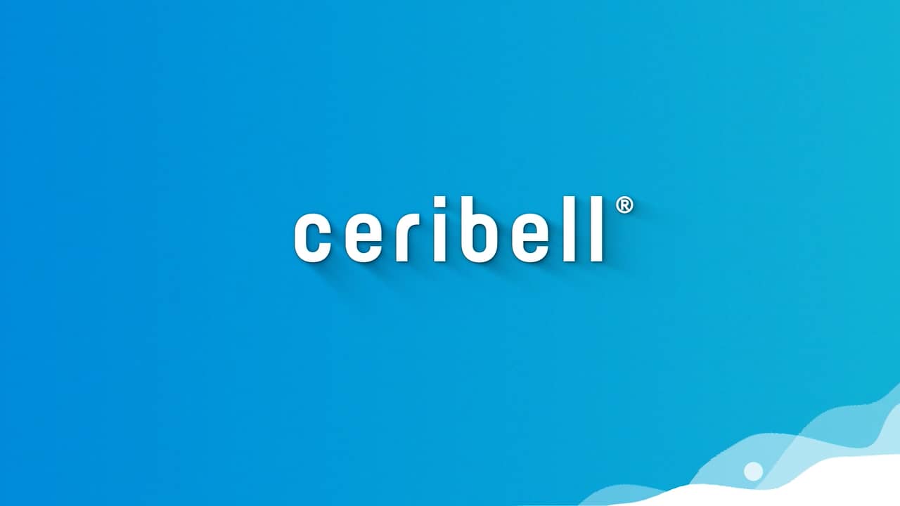 Ceribell EEG Short Intro on Vimeo