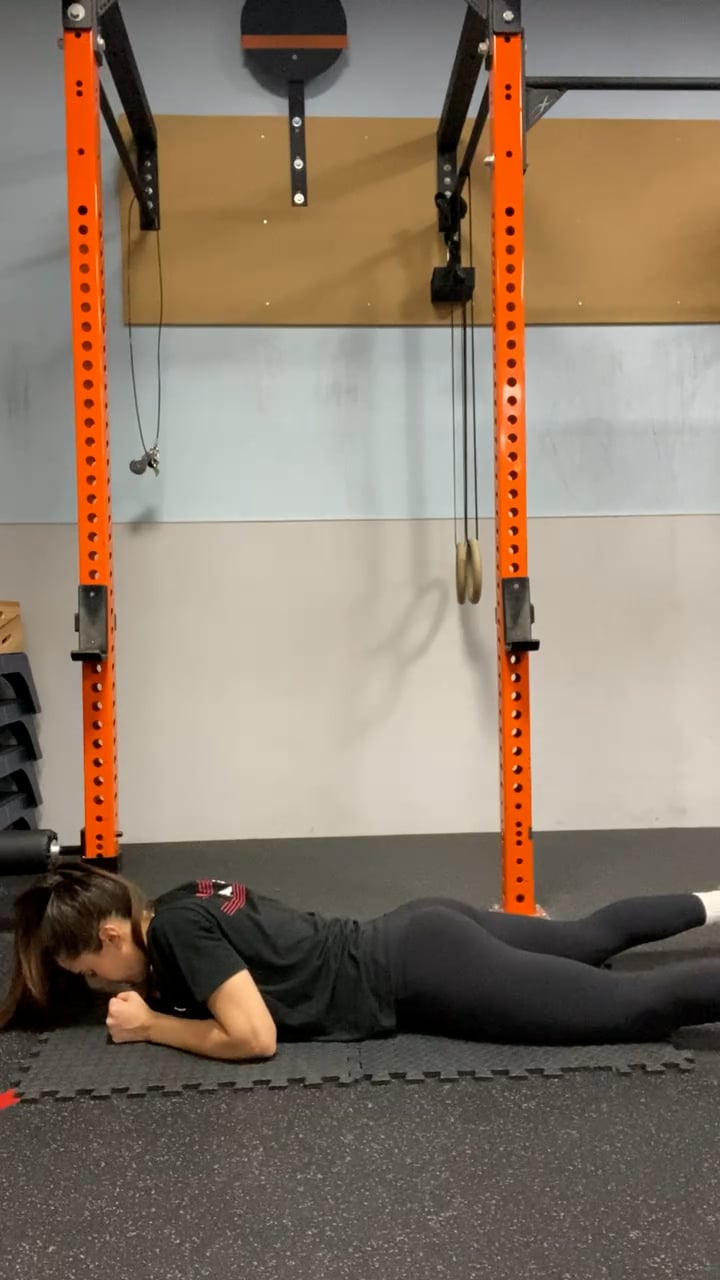 Modified Cobra (Elbows) on Vimeo