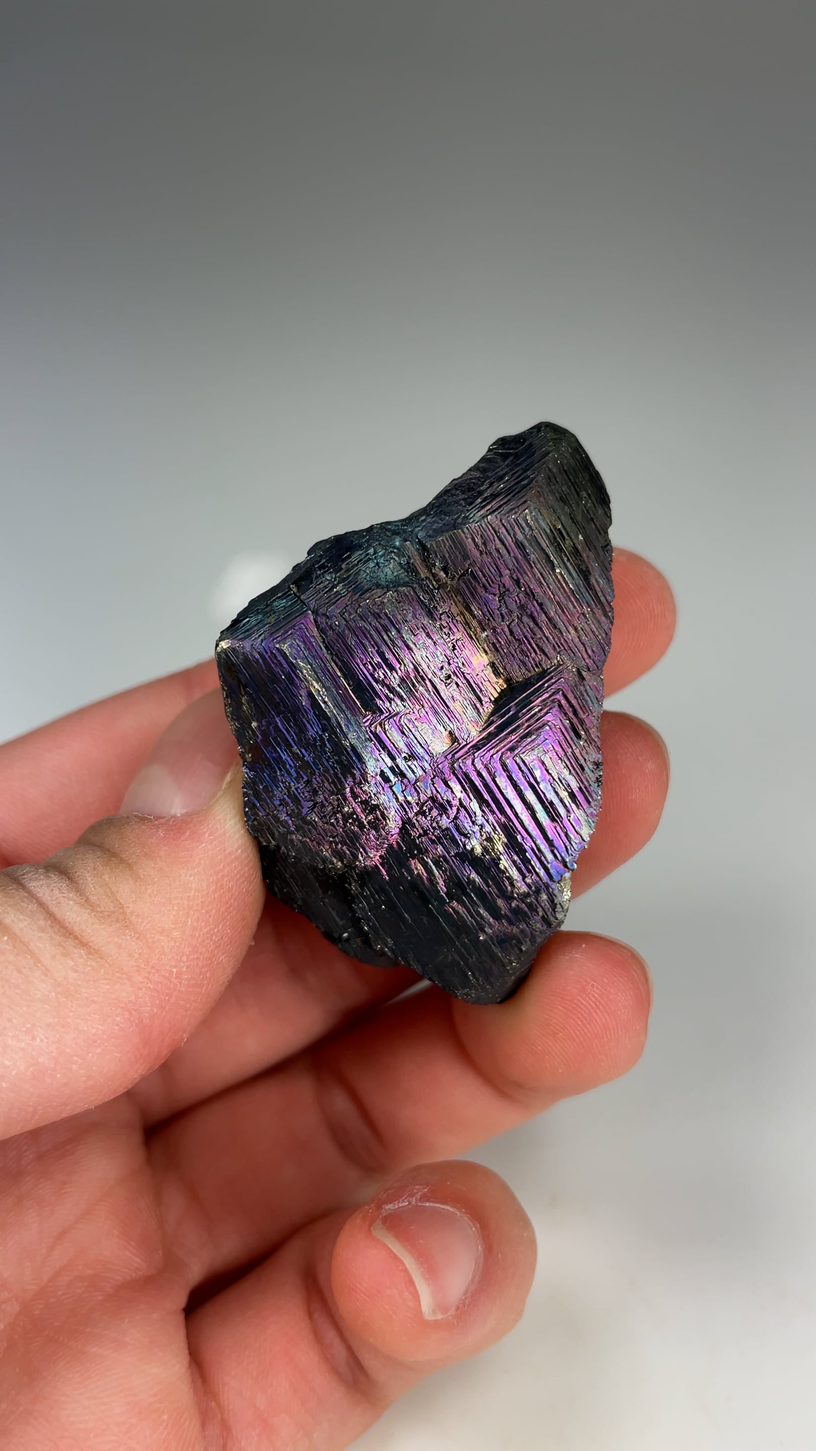 IMG_E8248.MOV on Vimeo