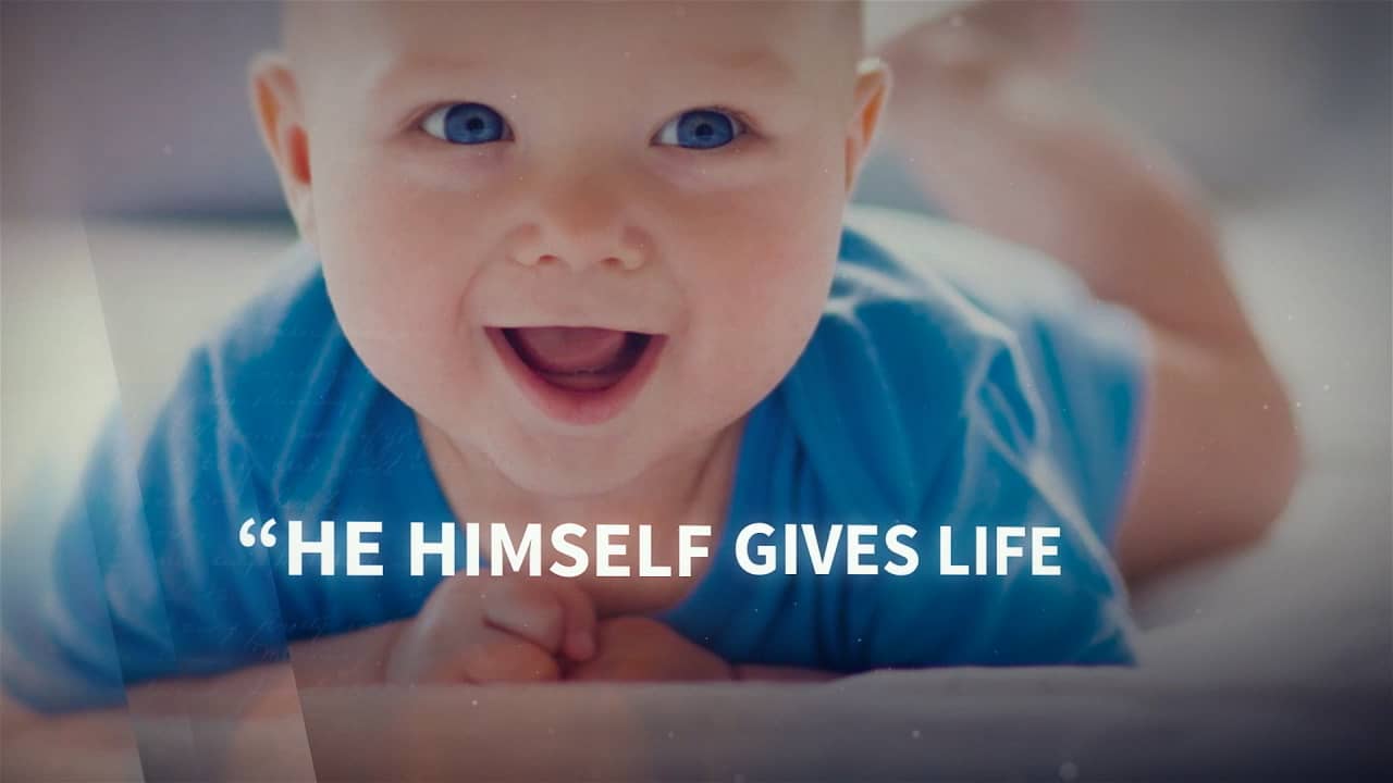 Protect Life: Sanctity of Human Life Sunday 2022 (Pennsylvania Family ...