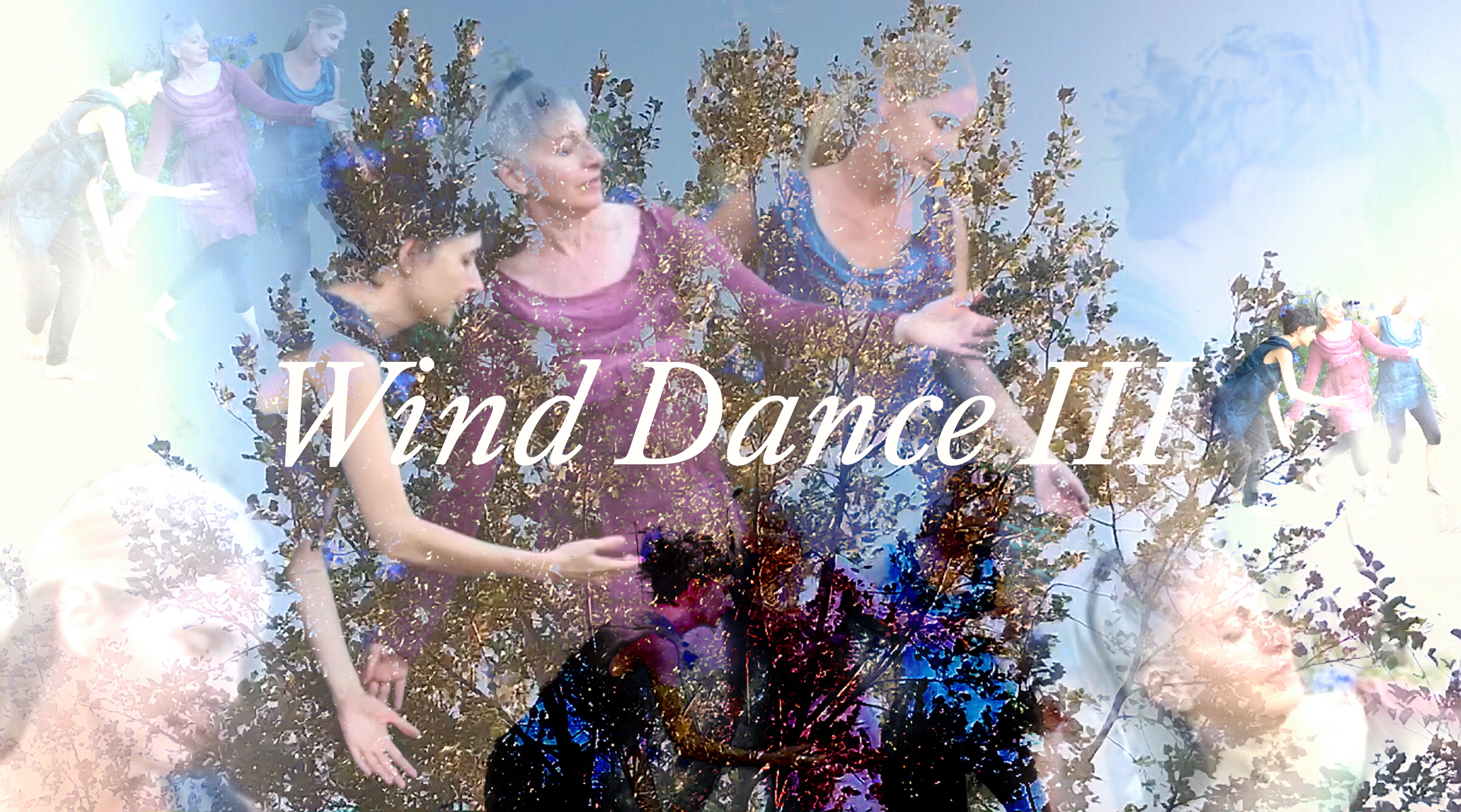 Wind Dance III on Vimeo