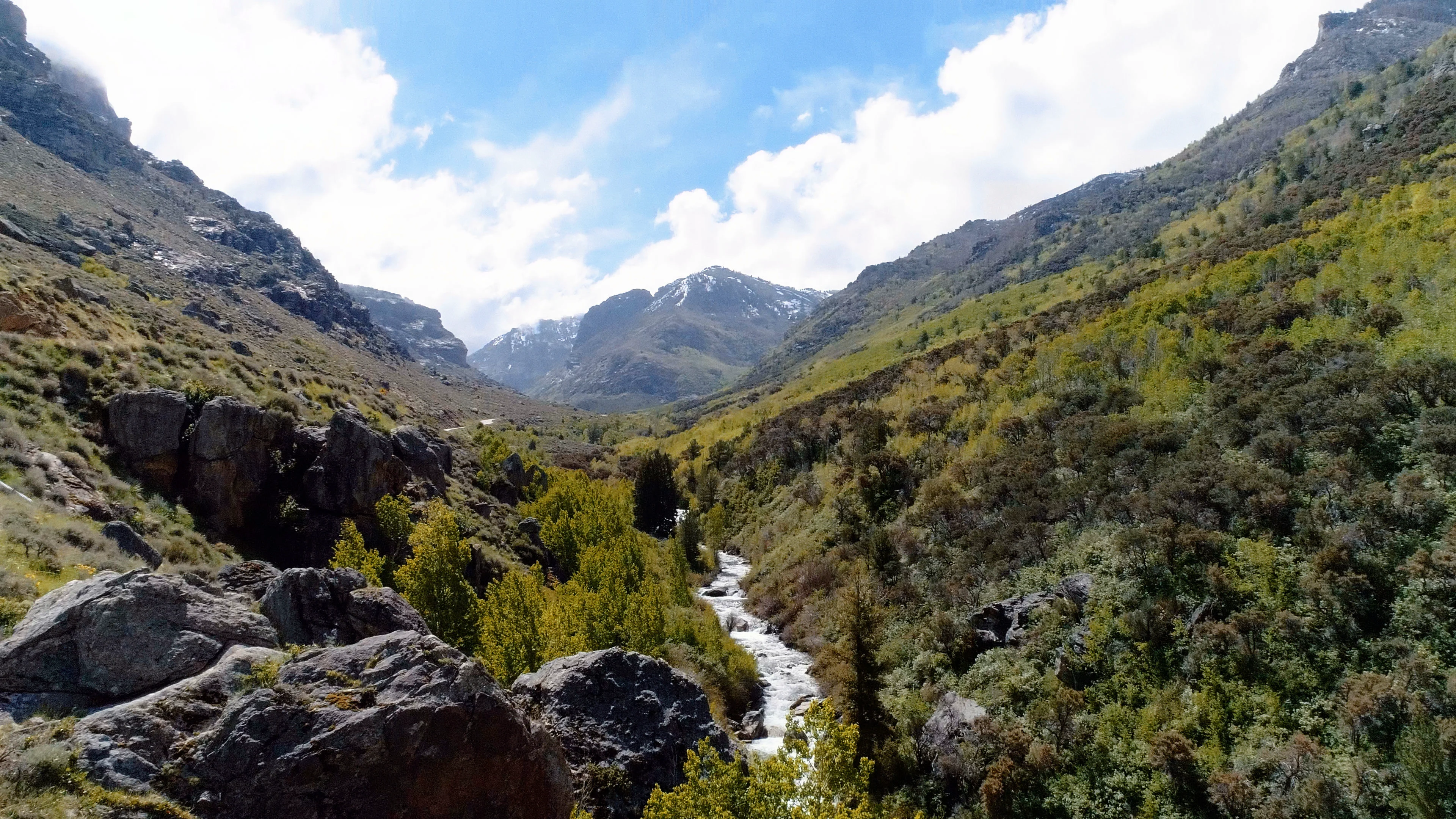 Ruby Mountains