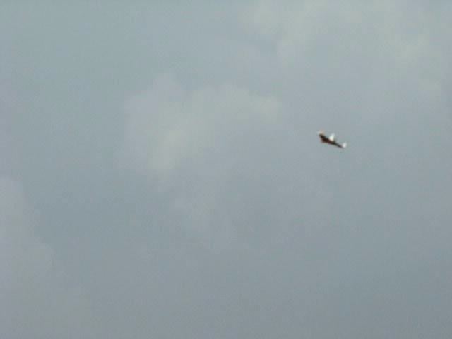 My High speed delta wing RC plane on Vimeo