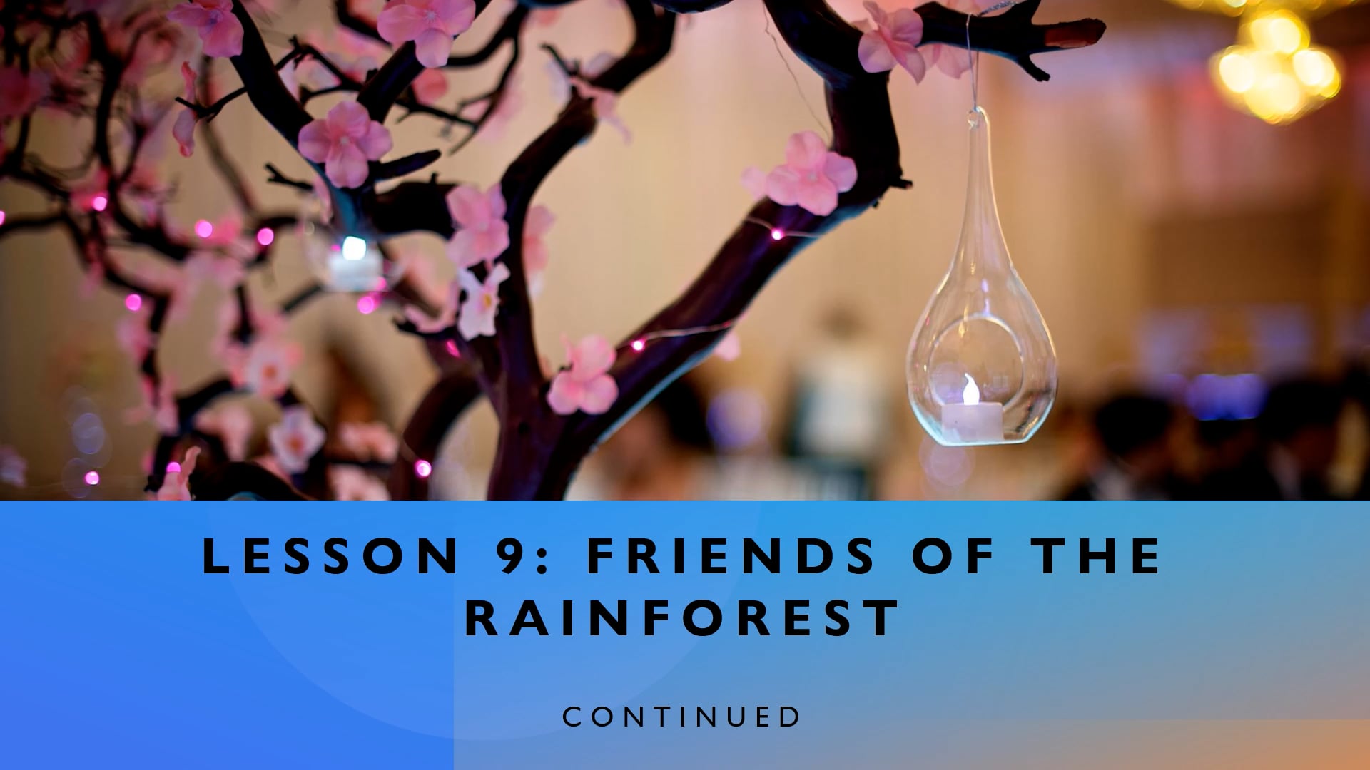 UIIS_2006_Grade 4 Lesson 9 Friends of the Rainforest (PPT)_20221891034 ...
