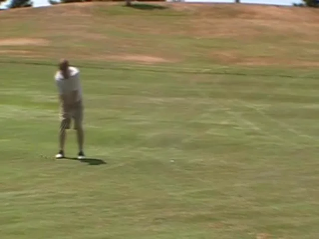 Shankopotamus on Vimeo