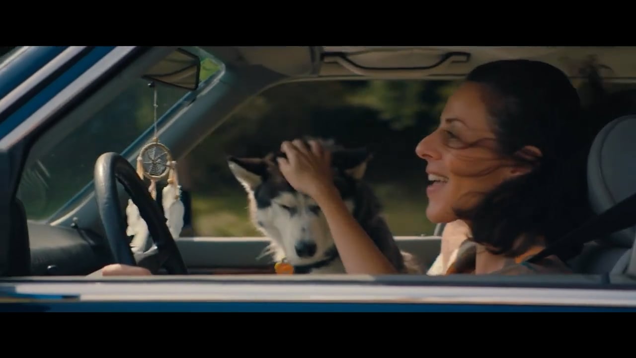 Cofidis Belgique – PUB TV 2022 – Libre d'avancer (Moving) - 01-2022 on ...