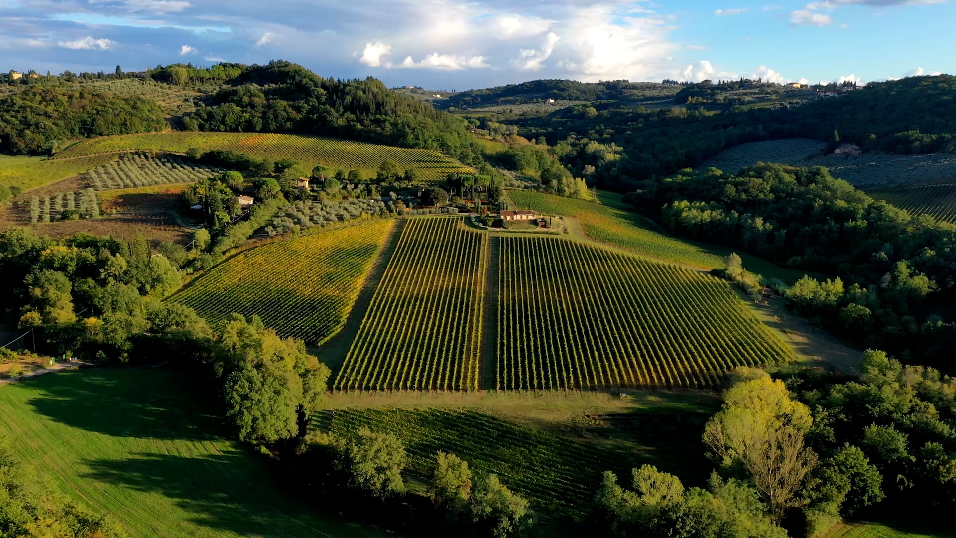 ITF40PH100_Toscana_Cerbaia on Vimeo