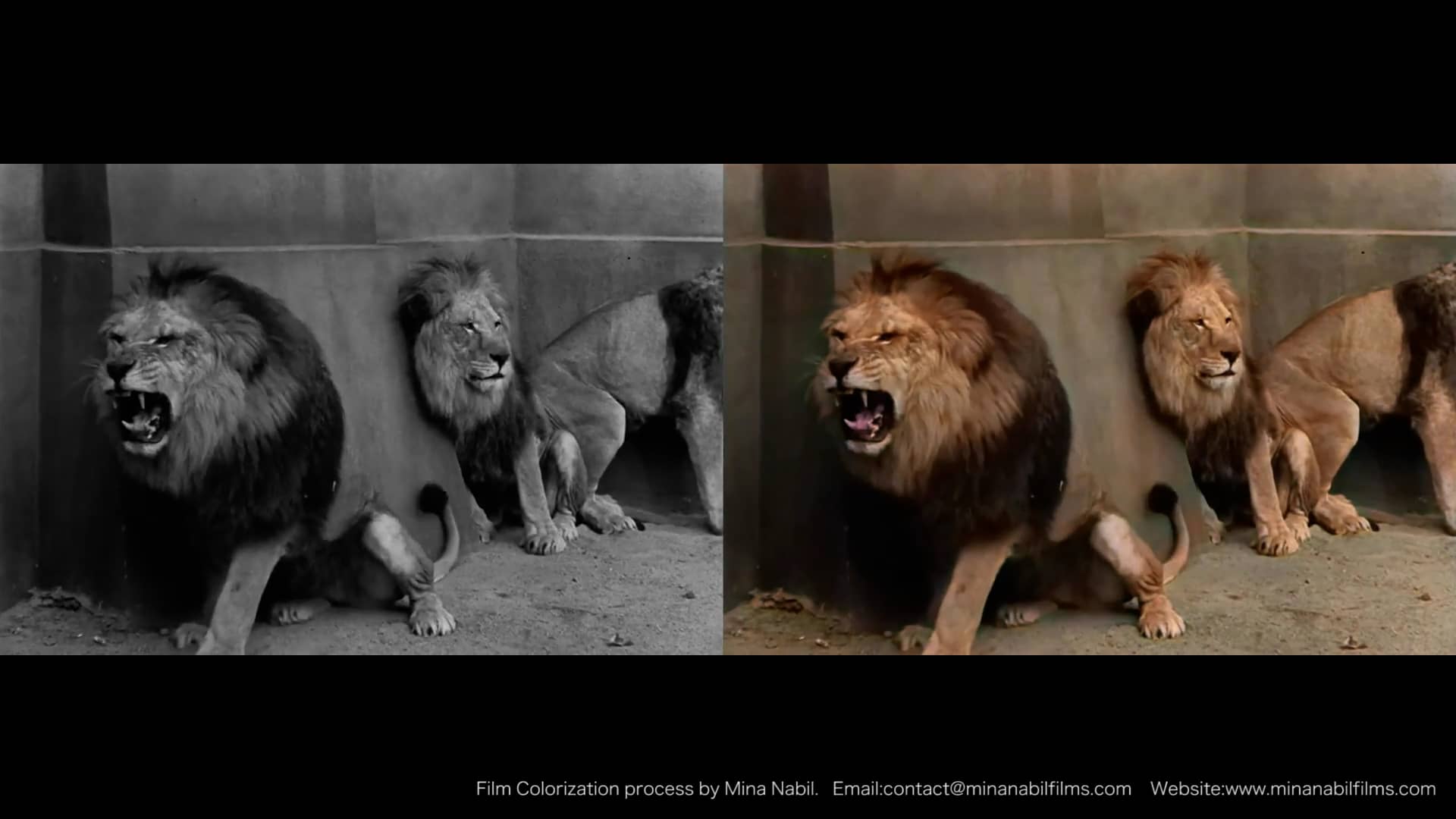 Film Colorization process by Mina Nabil on Vimeo