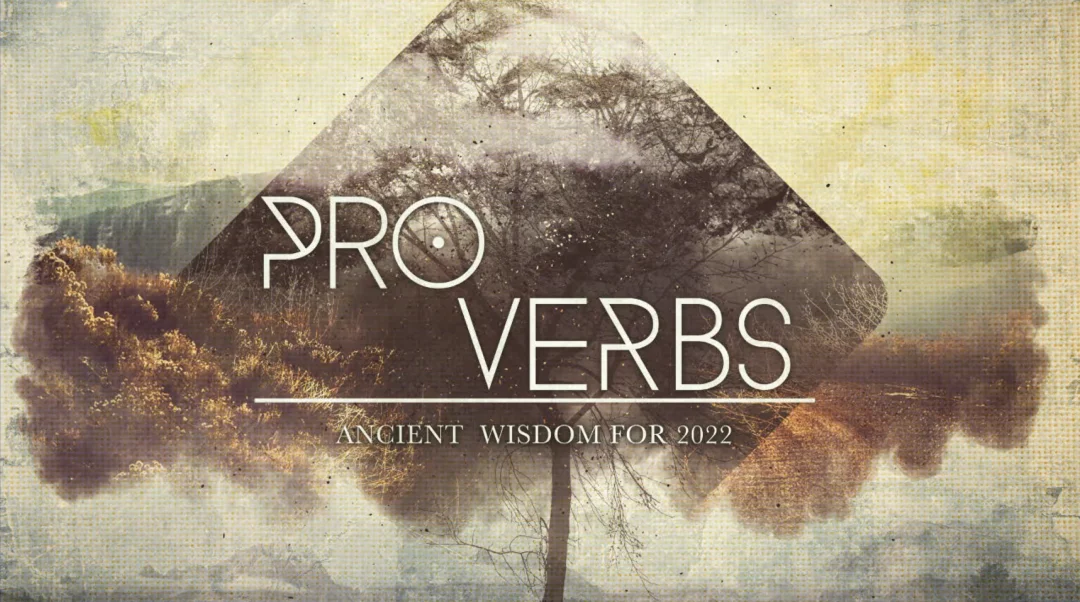 Pro Verbs - Part 2 on Vimeo