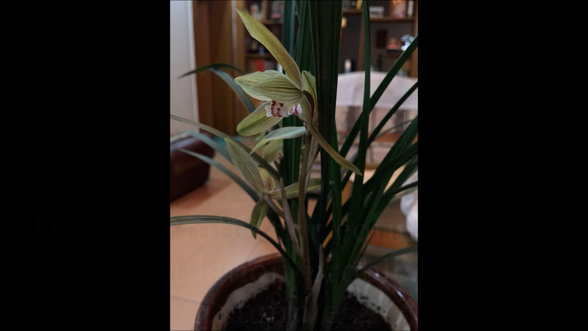 Equilibrium calculation with ICE table Example 2 on Vimeo