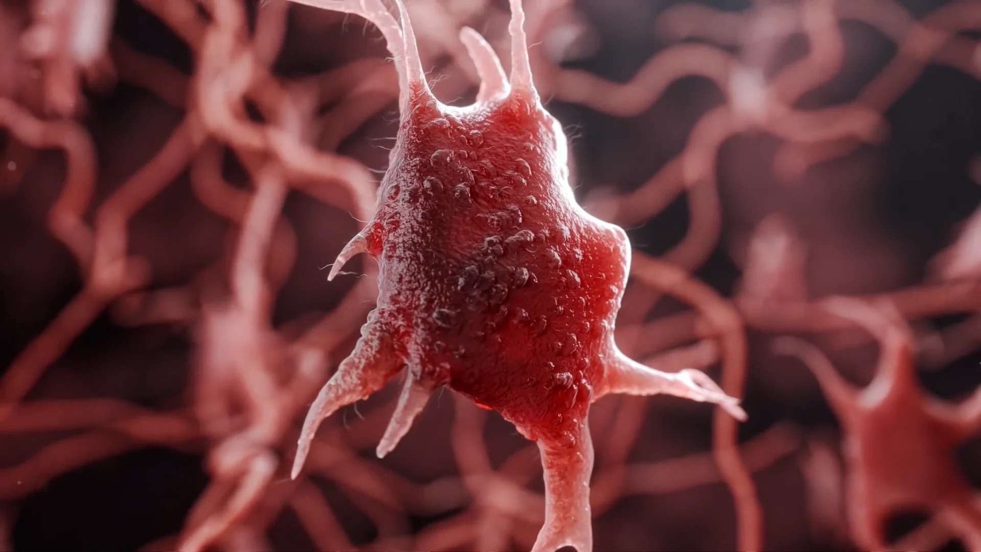 Fibrobiologics - 3D Medical Animation -Fibroblasts