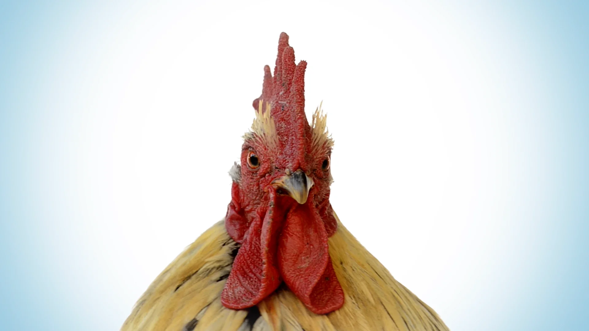 Practice Your Moves on Vimeo