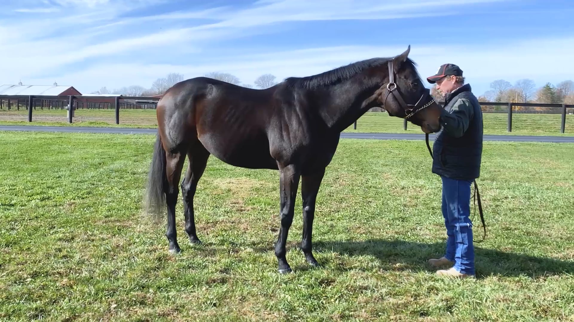 American Pastime Stallion Tour 2022 - Swifty Farms on Vimeo