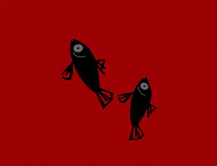 Catching a big fish on Vimeo