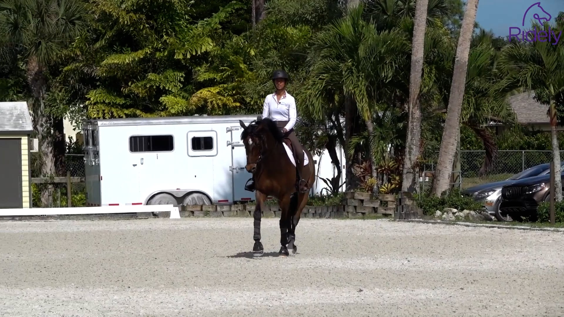 The Reverse Rollback | Ridely