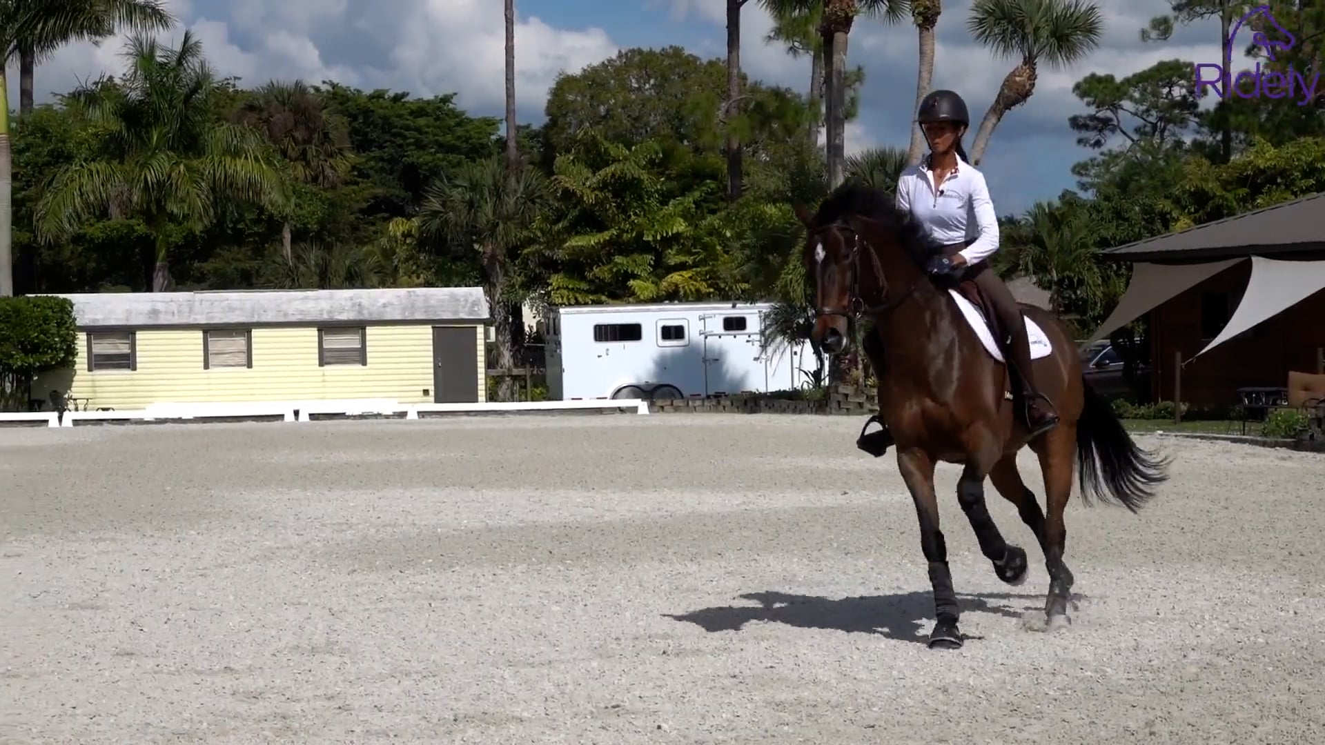 The Advanced Counter Canter | Ridely The Advanced Counter Canter | Ridely