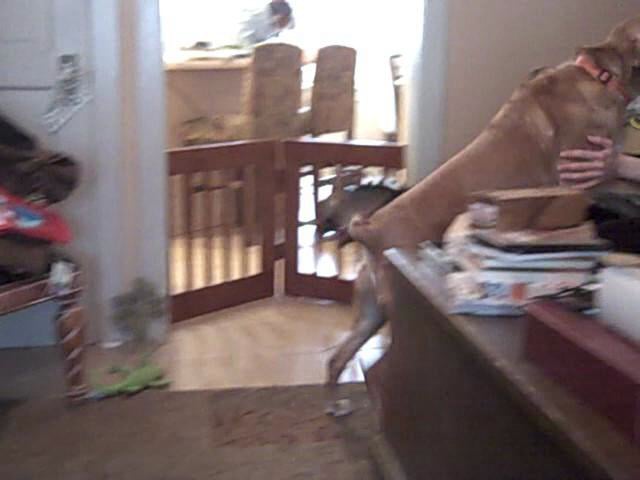 Augie, Jazz and Daphne reunion on Vimeo
