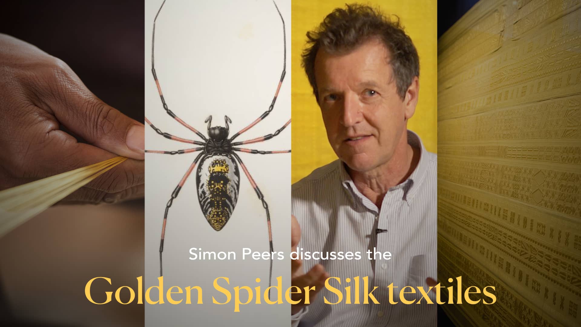 Simon Peers - Golden Spider Silk Textiles on Vimeo