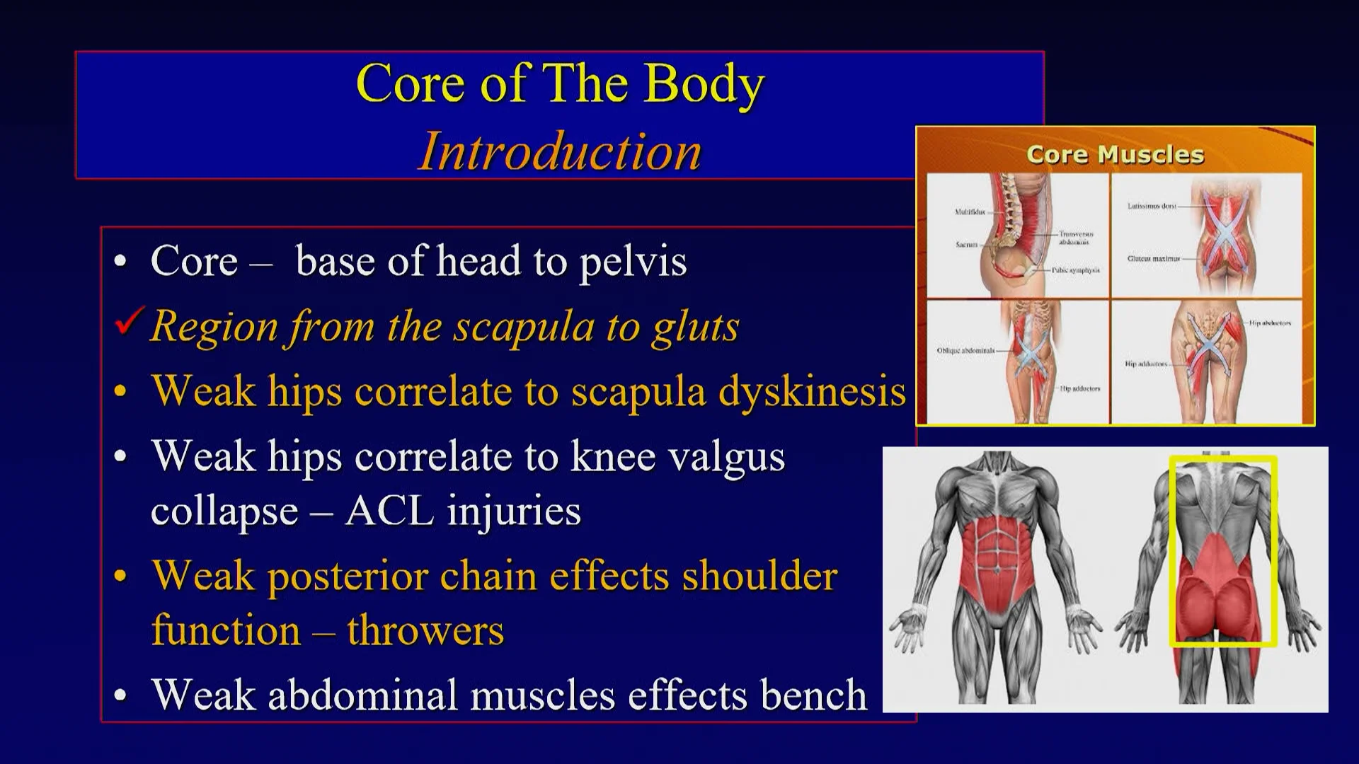 12--Return To Play Criteria Following Core Muscle Injury My Pearls For ...