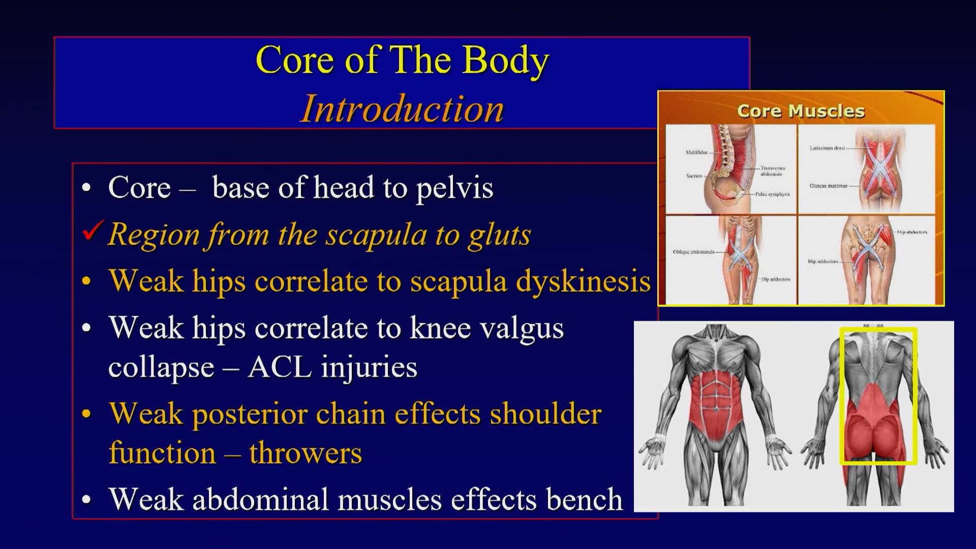 12--Return To Play Criteria Following Core Muscle Injury My Pearls For ...