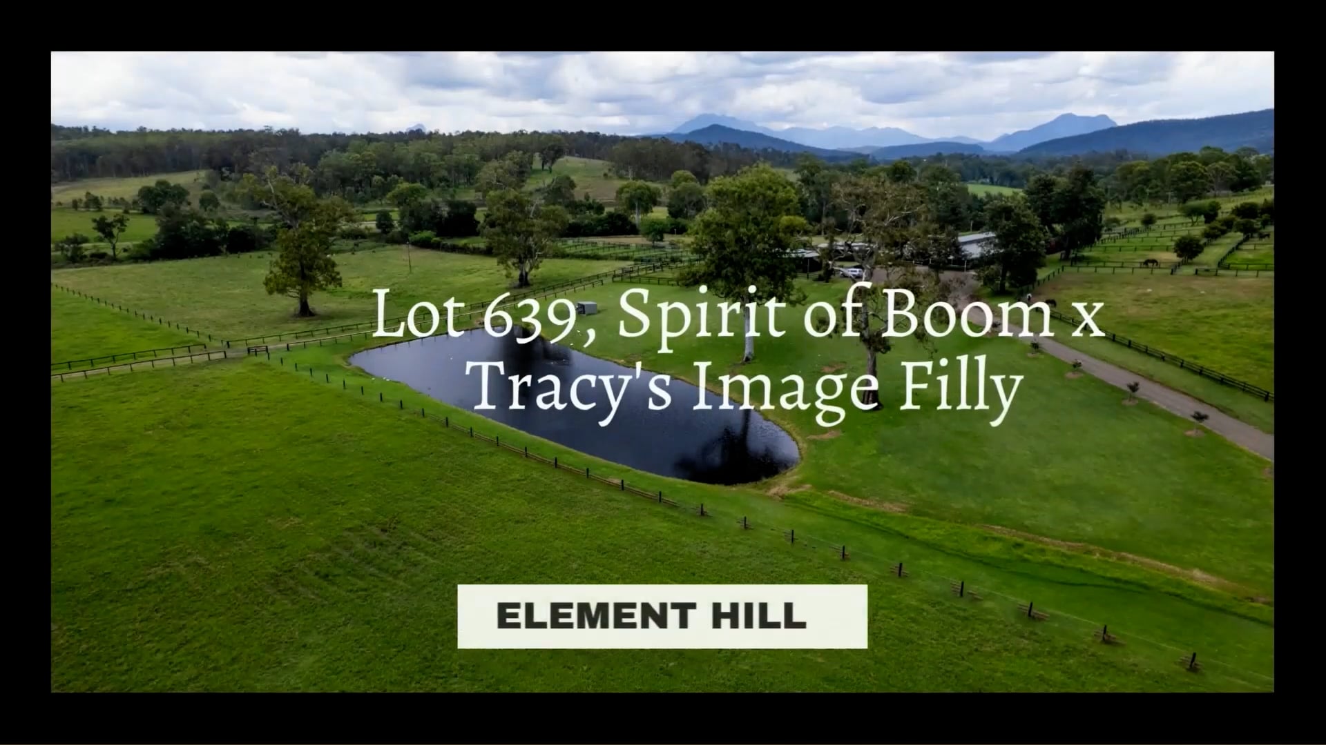 Spirit of Boom x Tracy's Image! on Vimeo