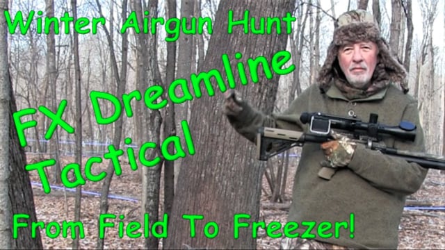 Airgun Hunting Winter Fox Squirrels with the FX Dreamline Tactical ...
