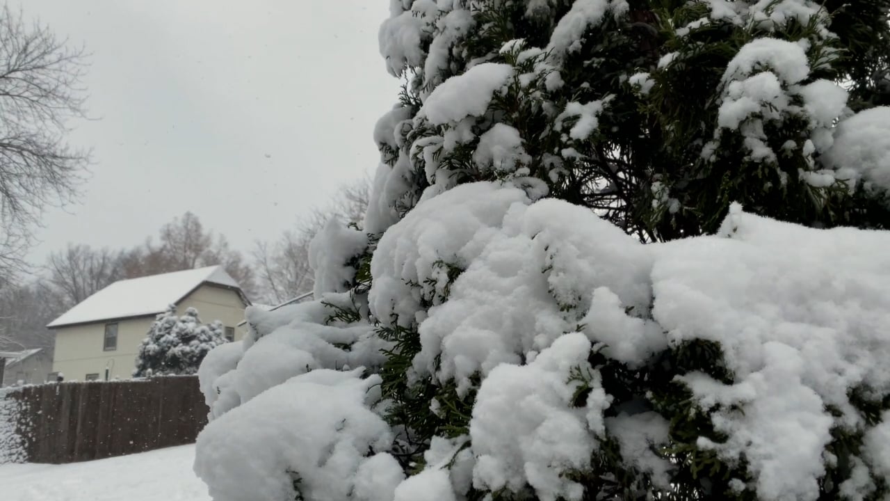 Snow Day - HD 720p.mov on Vimeo