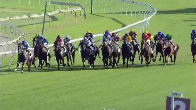 I Am Invincible - Stallion | Breednet