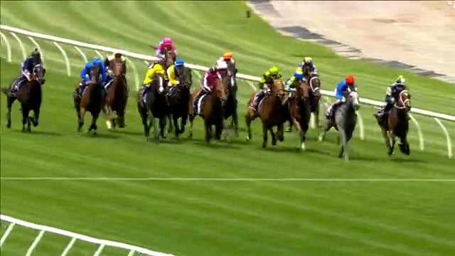 Reliable Man - Stallion | Breednet