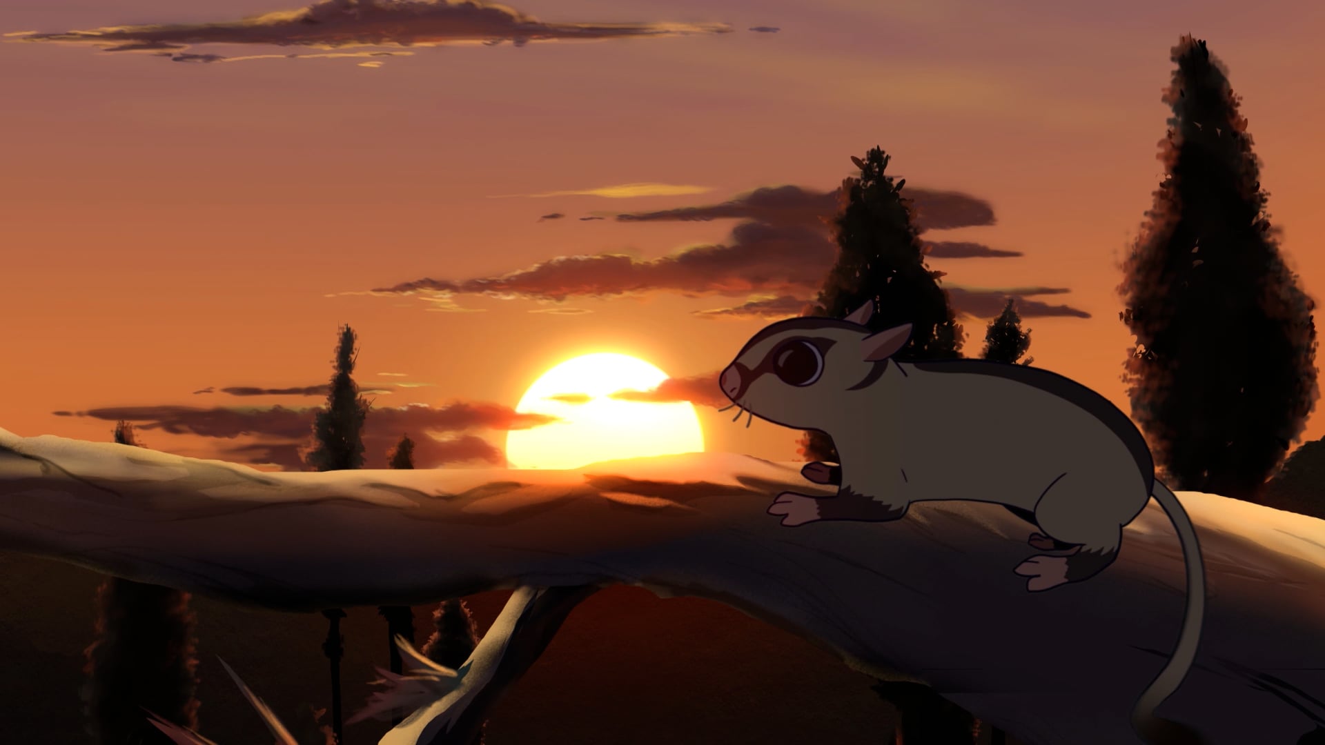 Sugar Glider Animation on Vimeo