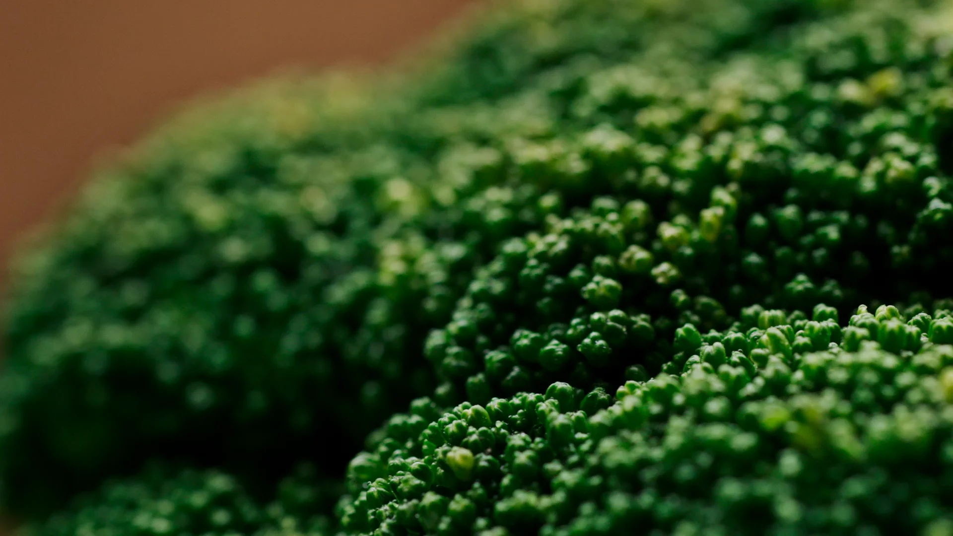 ALDI Super Savers – Broccoli