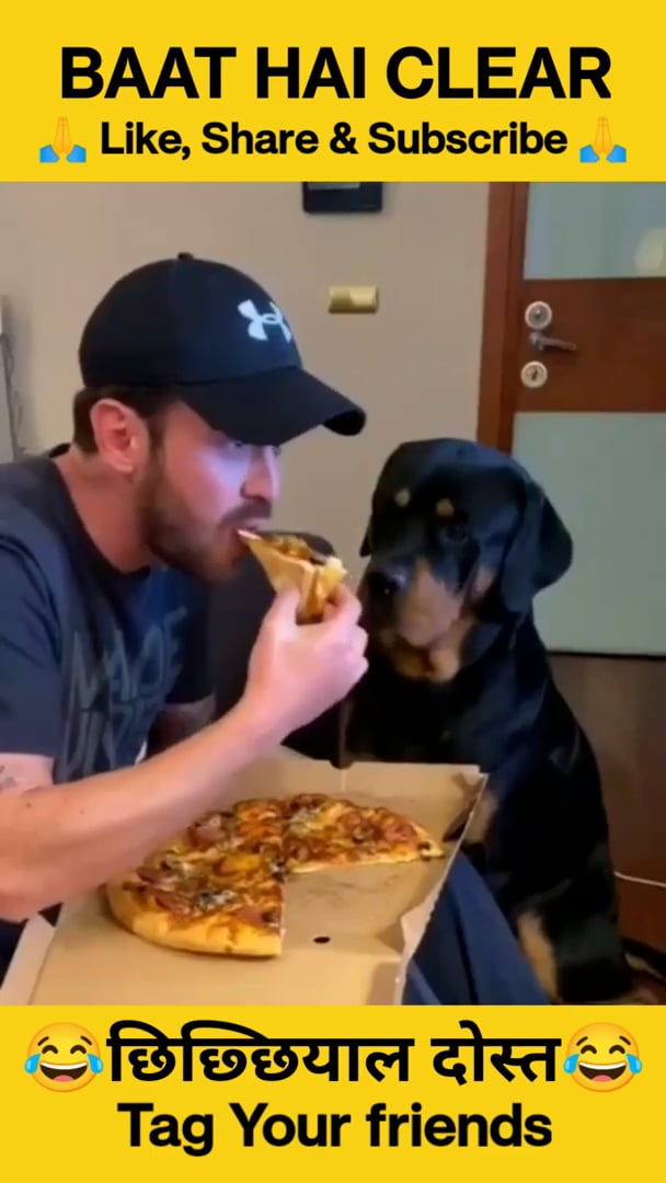 Best funny video on Vimeo