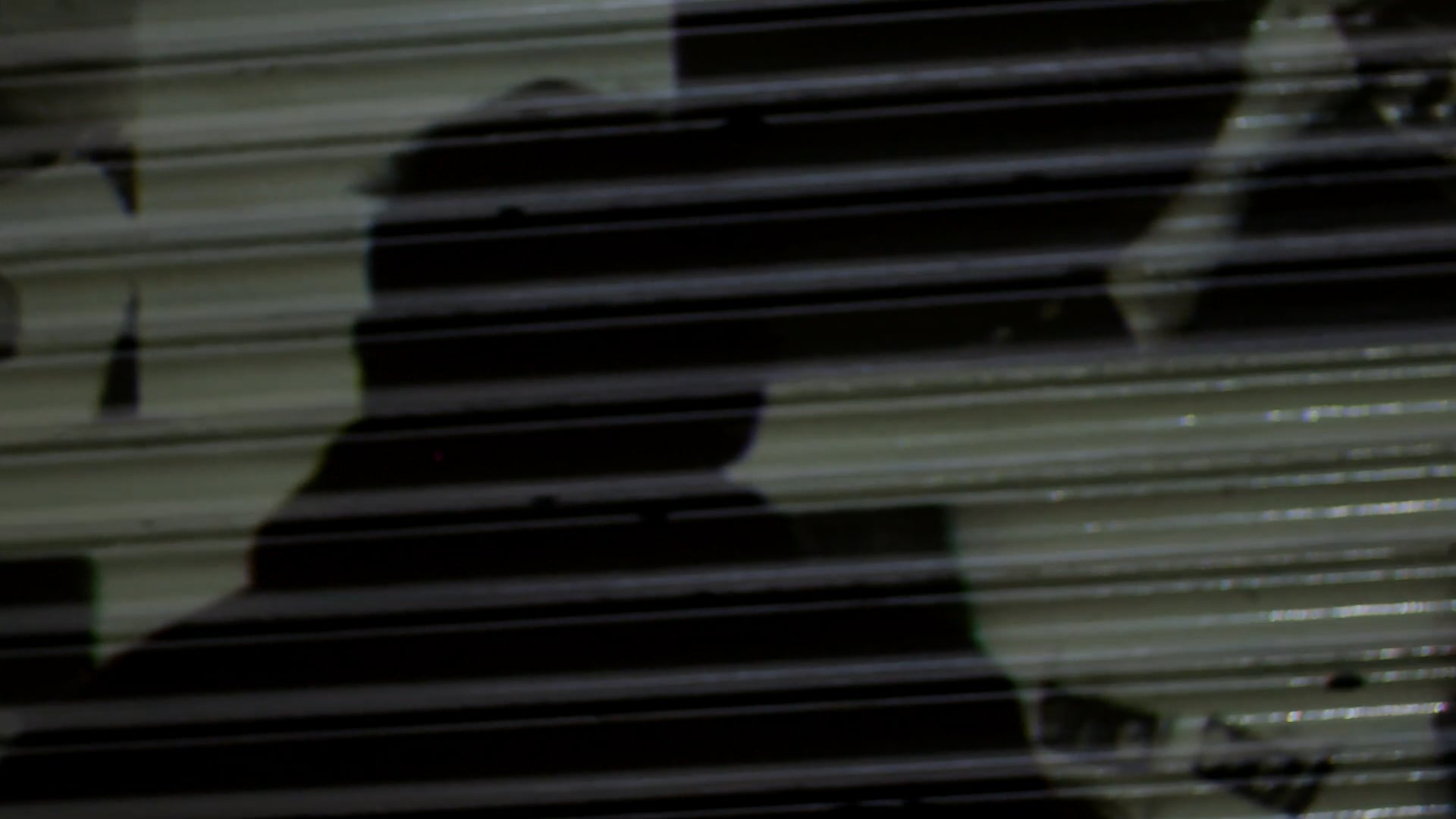 2S Films - Welcome to our world on Vimeo