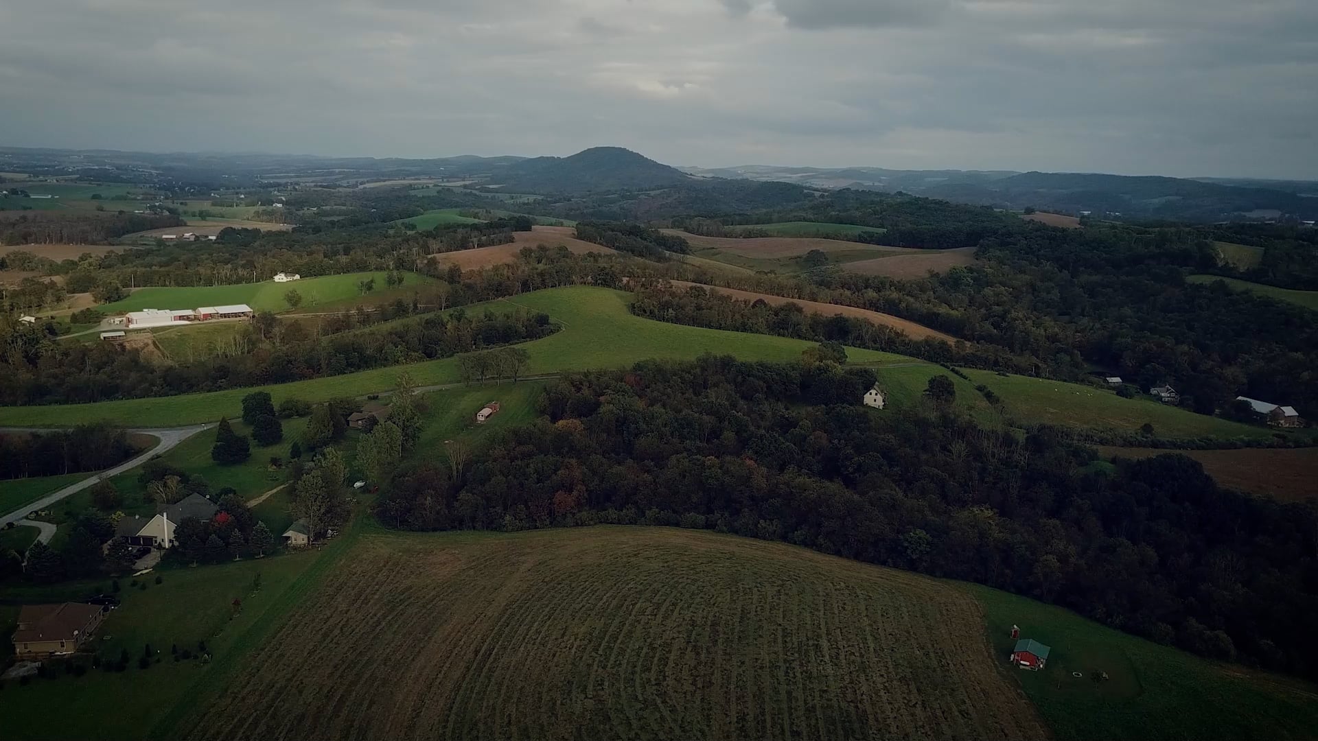 Big Boy Farm on Vimeo